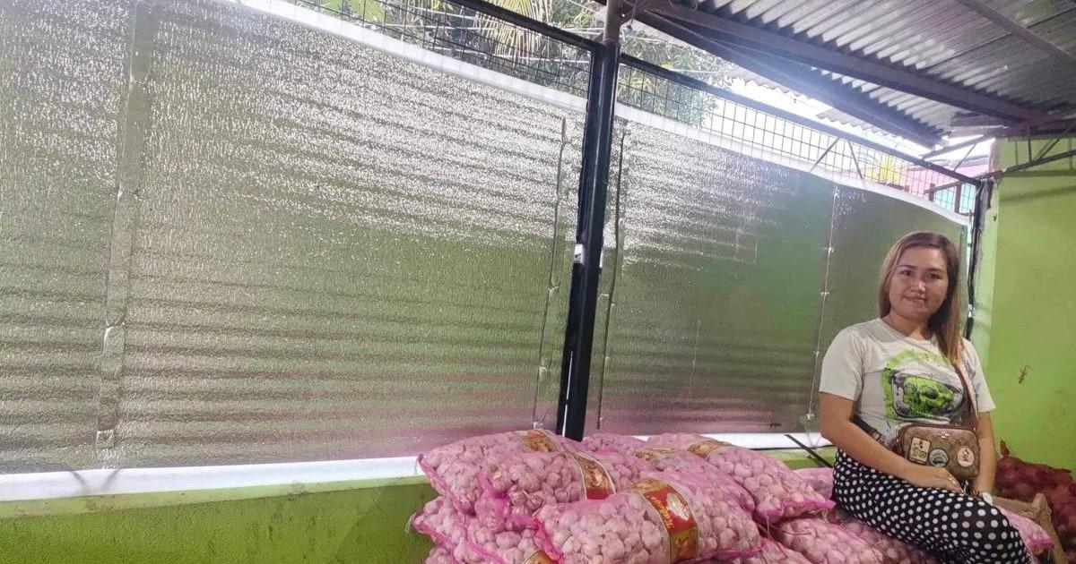 Rosemarie from Philippines's loan has been funded! | Kiva