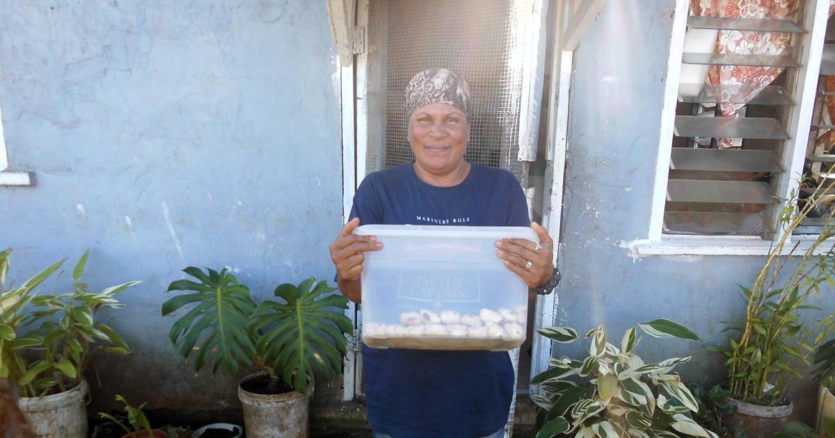 Timaima from Tonga's loan has been funded! | Kiva
