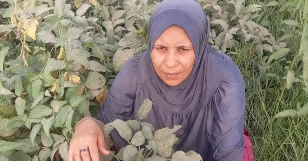 Saadya from Egypt's loan has been funded! | Kiva