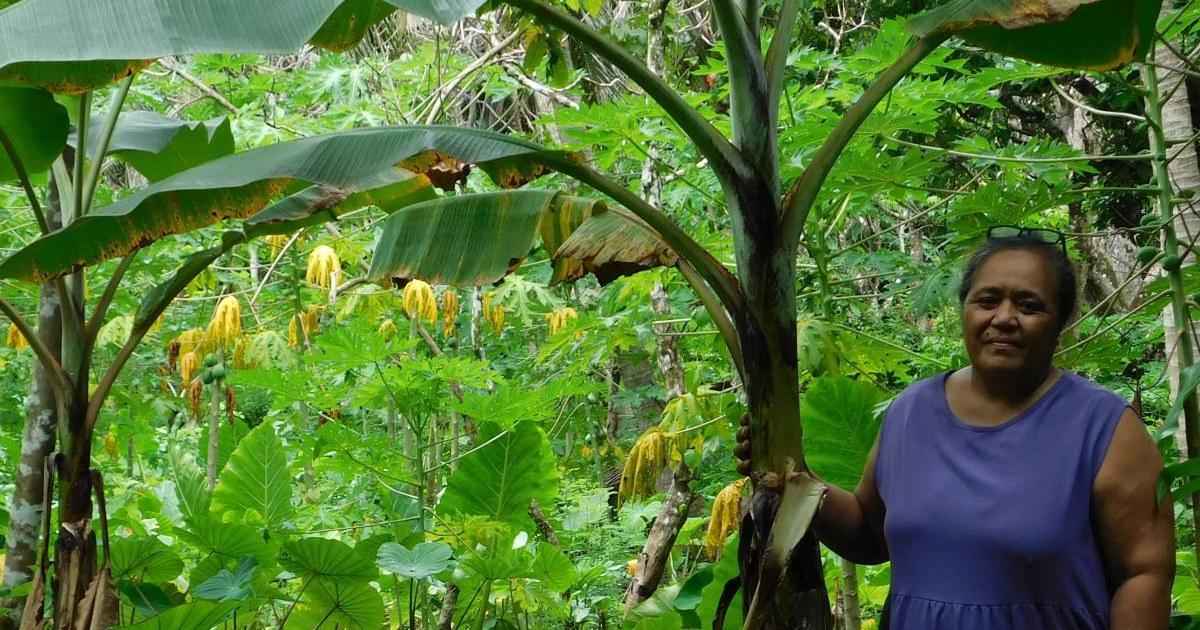 Hulita from Tonga's loan has been funded! | Kiva