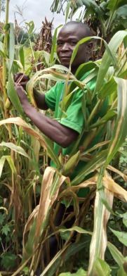 Lend to Elphas' Group in Kenya | Kiva